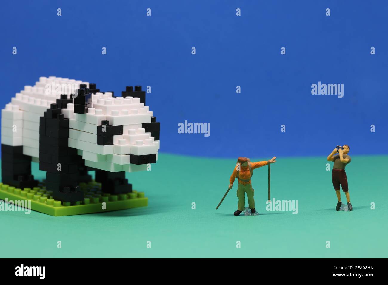 It’s behind you! Giant panda approaches ramblers. Posed by models Stock ...