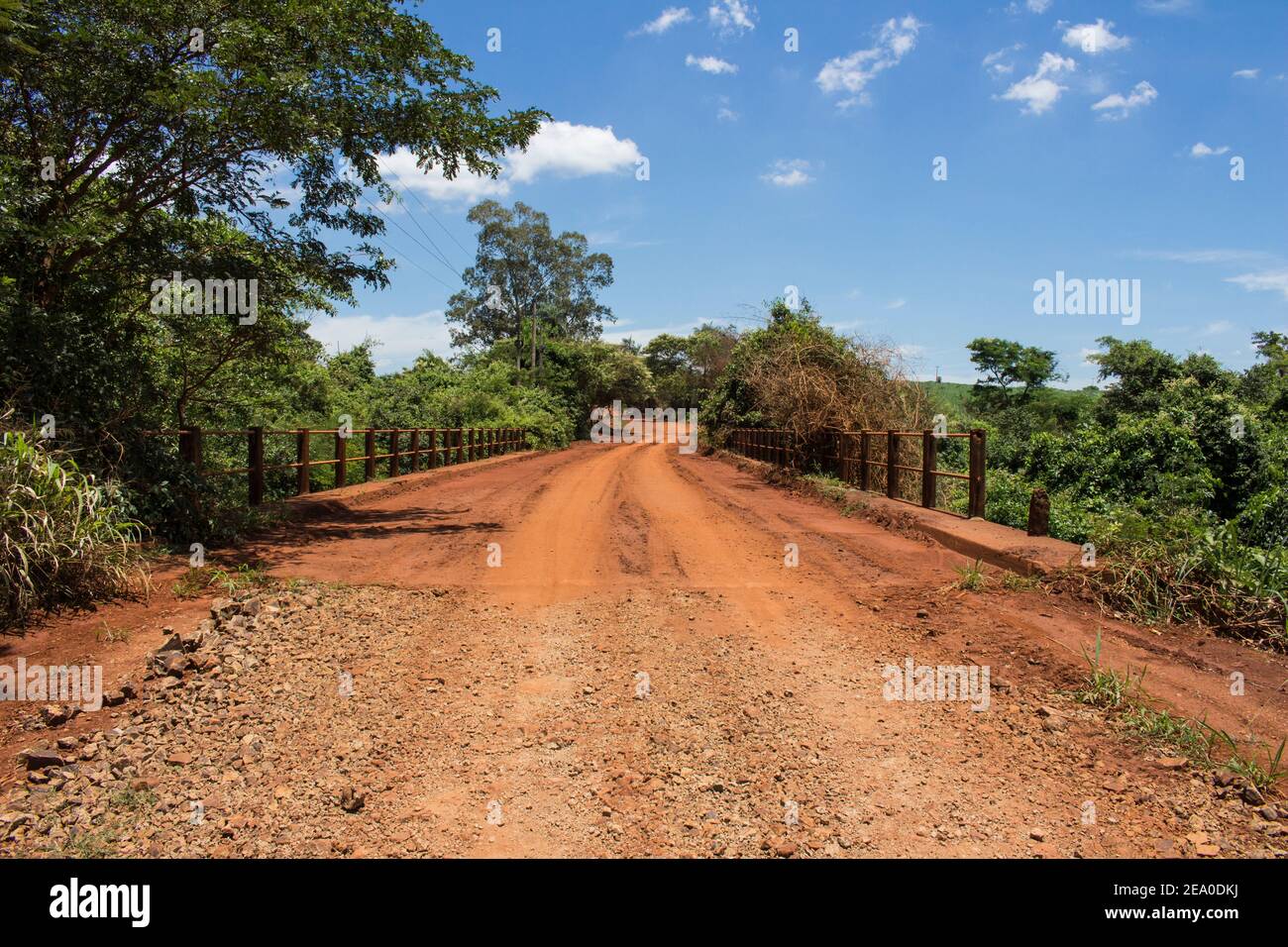 Amazon rainforest brazil bridge hi-res stock photography and images - Alamy