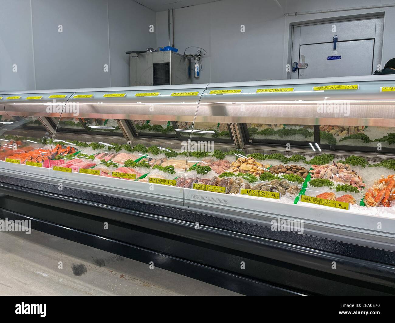 Orlando,FL USA - January 18, 2021: The seafood aisle of a Bravo Market ...