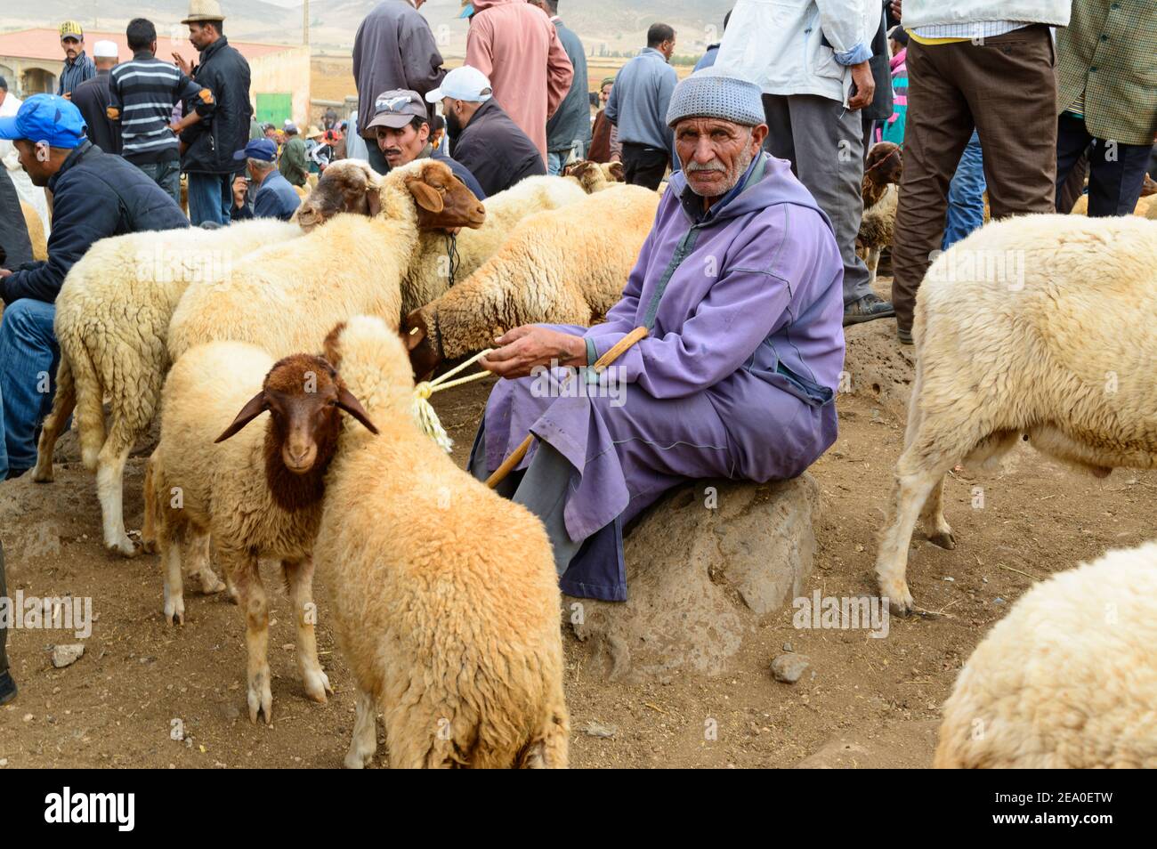 Azrou market hi-res stock photography and images - Alamy