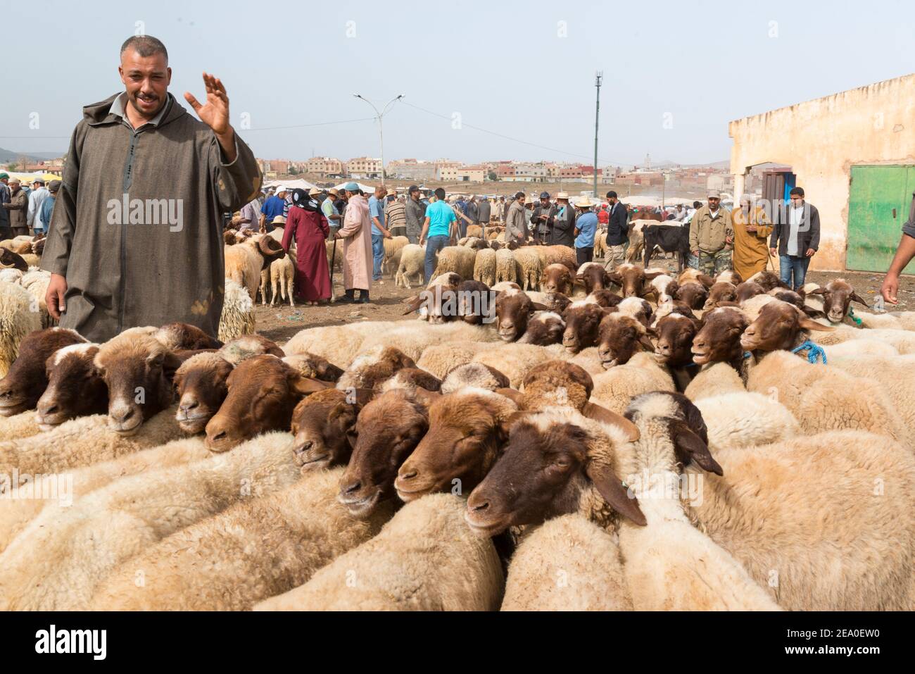At the weekly souq in Azrou, Morocco Stock Photo - Alamy