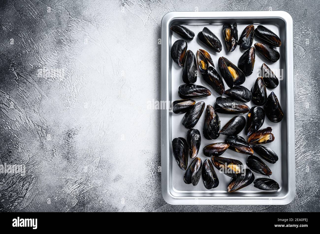 Seafood fresh blue mussels in kitchen steel tray. White background. Top ...