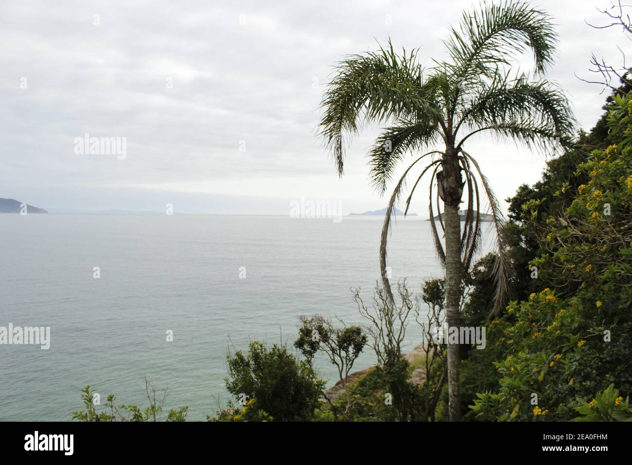 Florioanopolis hi-res stock photography and images - Alamy