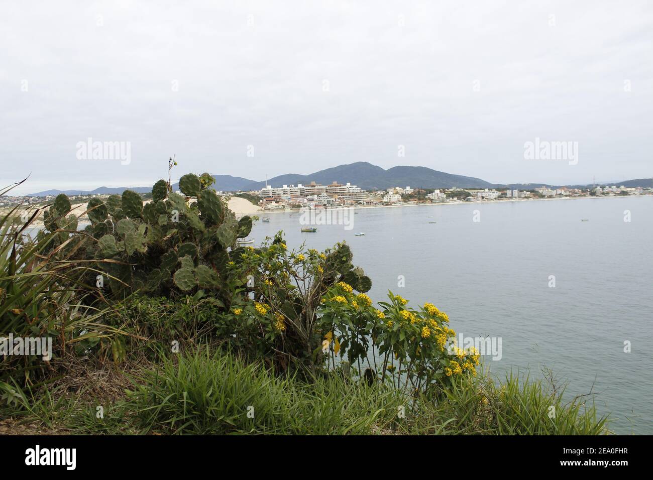 Florioanopolis hi-res stock photography and images - Alamy