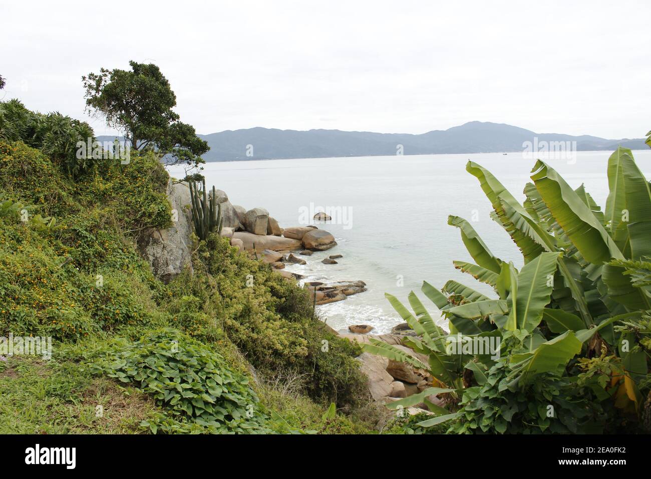 Florioanopolis hi-res stock photography and images - Alamy