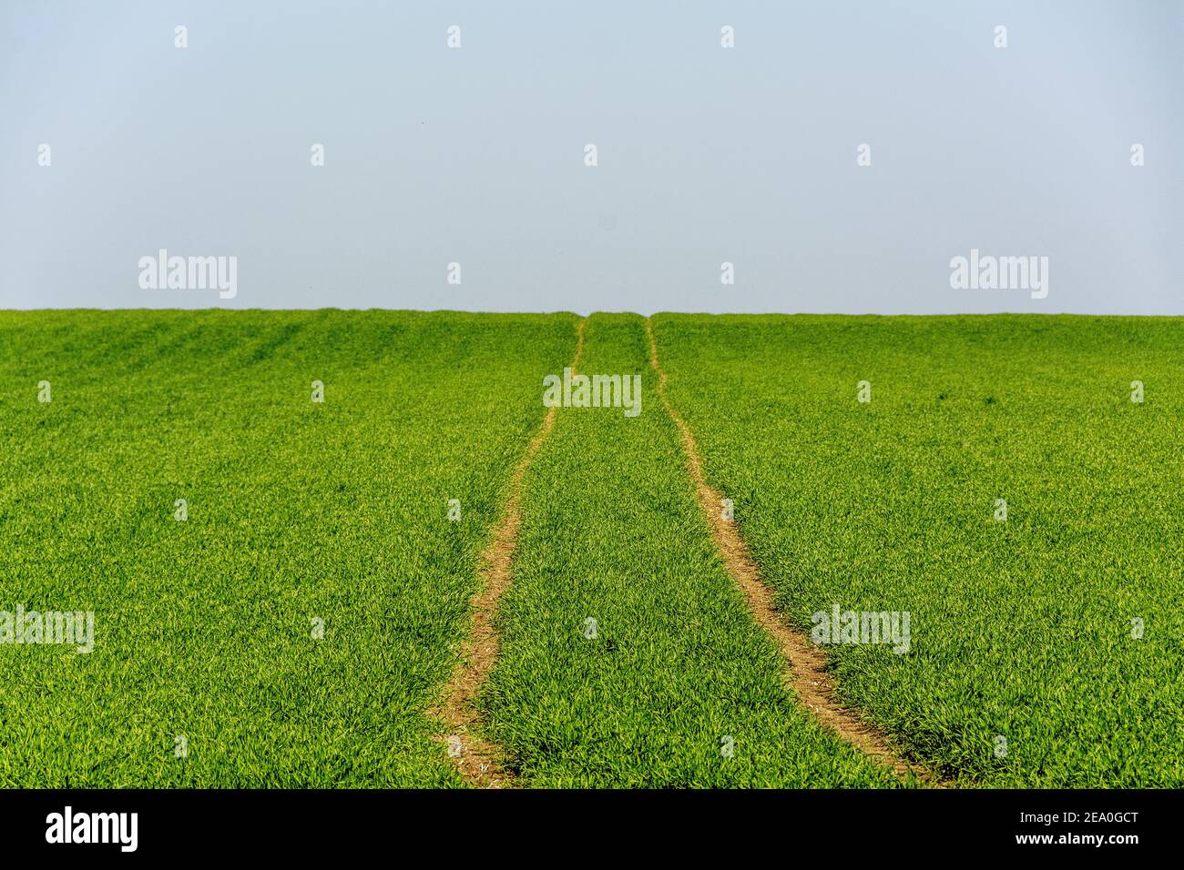 Parallel farm tracks hi-res stock photography and images - Alamy