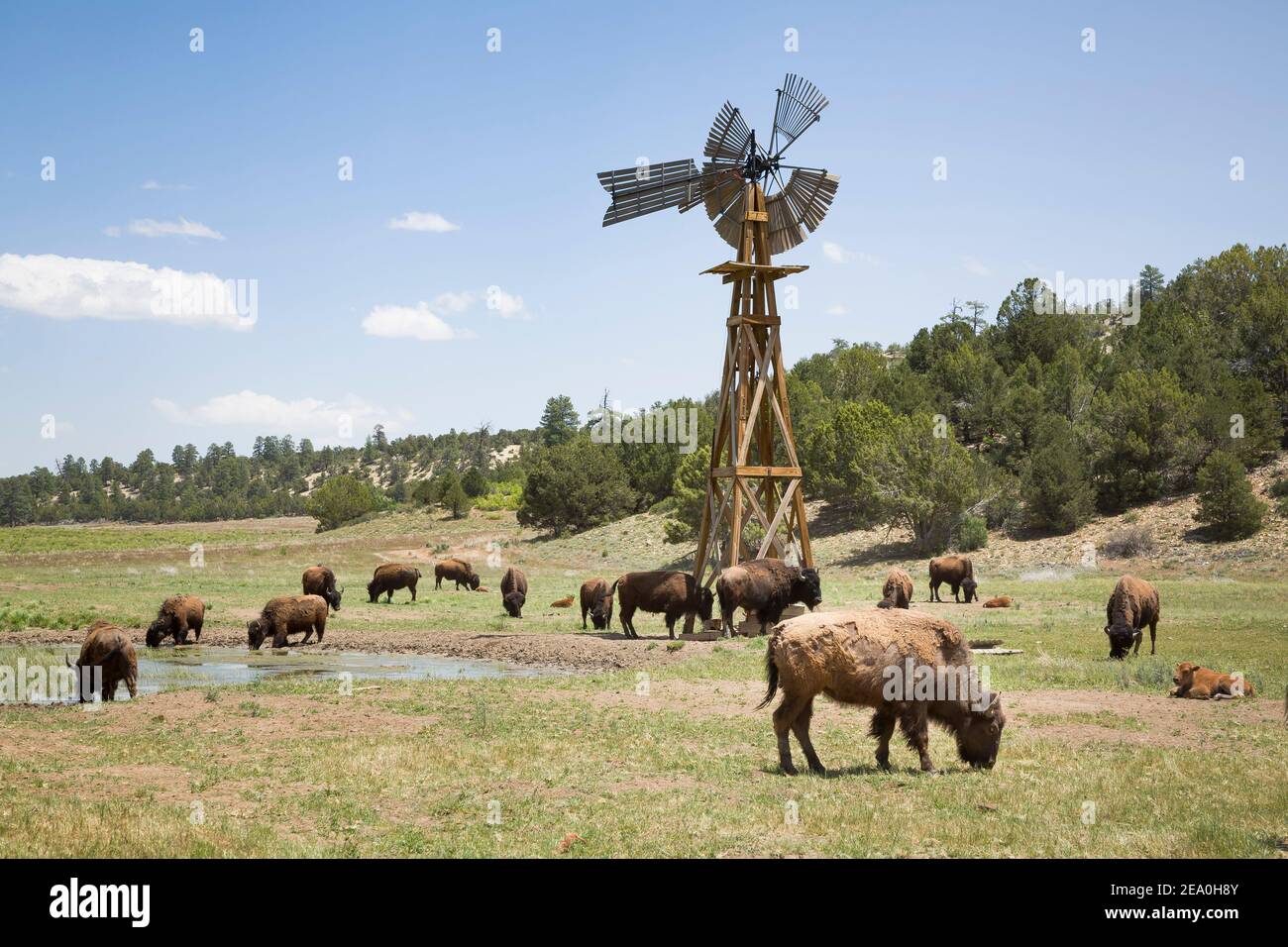 American farm windmill hi-res stock photography and images - Alamy