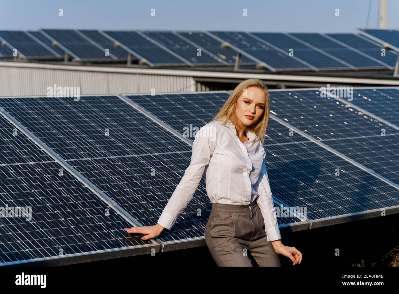 Girl and solar panels stands in row on the ground at sunset. Woman ...
