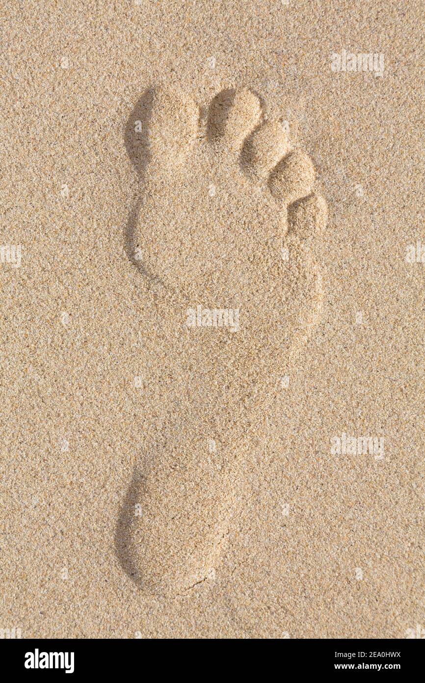 Single human footprint in the sand, walking on the beach barefoot Stock ...