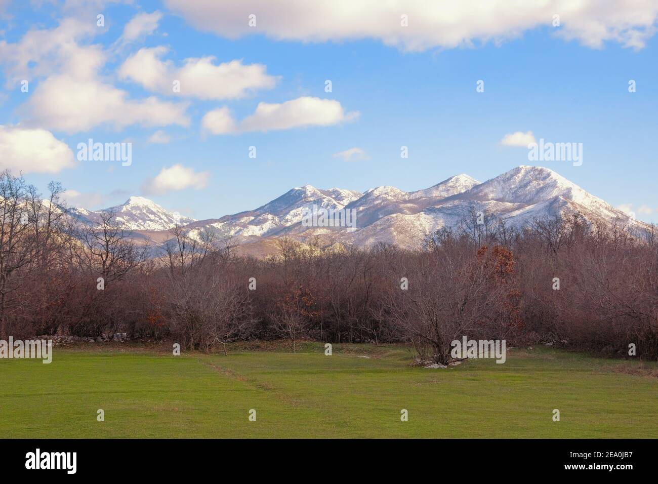 Winter mountain landscape, snow-capped mountains and green grassland ...