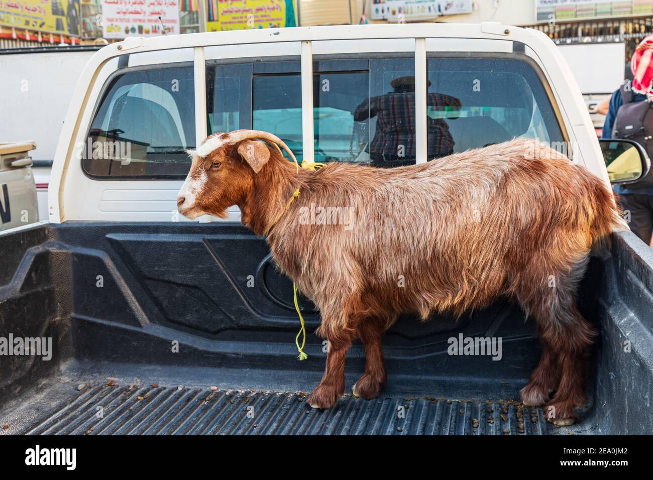Goat truck hi-res stock photography and images - Alamy