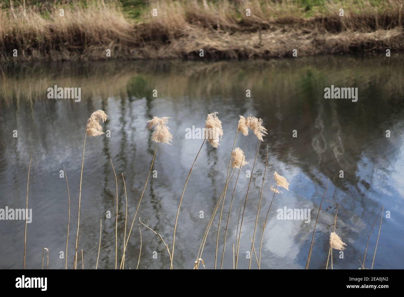 Waterglades hi-res stock photography and images - Alamy
