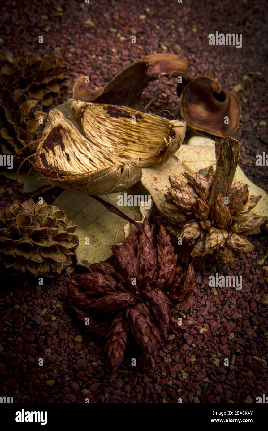 Vertical shot of a dried plant Potpourri, naturally fragrant plant ...