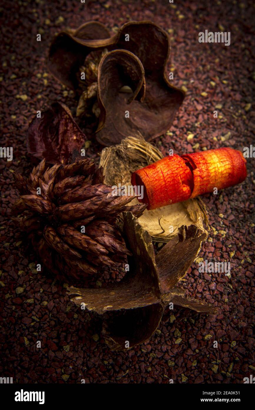 Vertical shot of a dried plant Potpourri, naturally fragrant plant ...