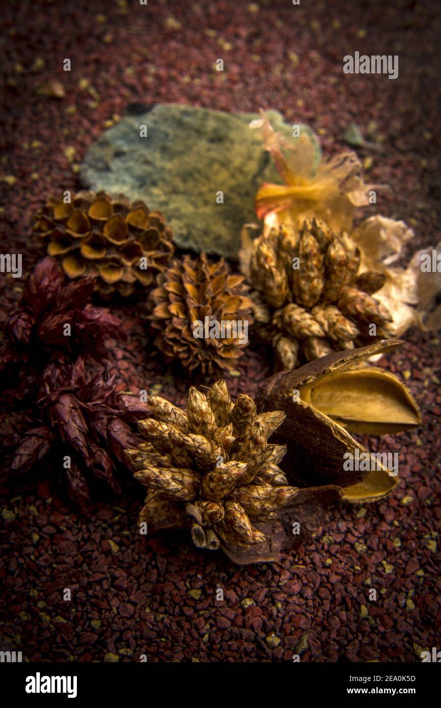 Vertical shot of a dried plant Potpourri, naturally fragrant plant ...