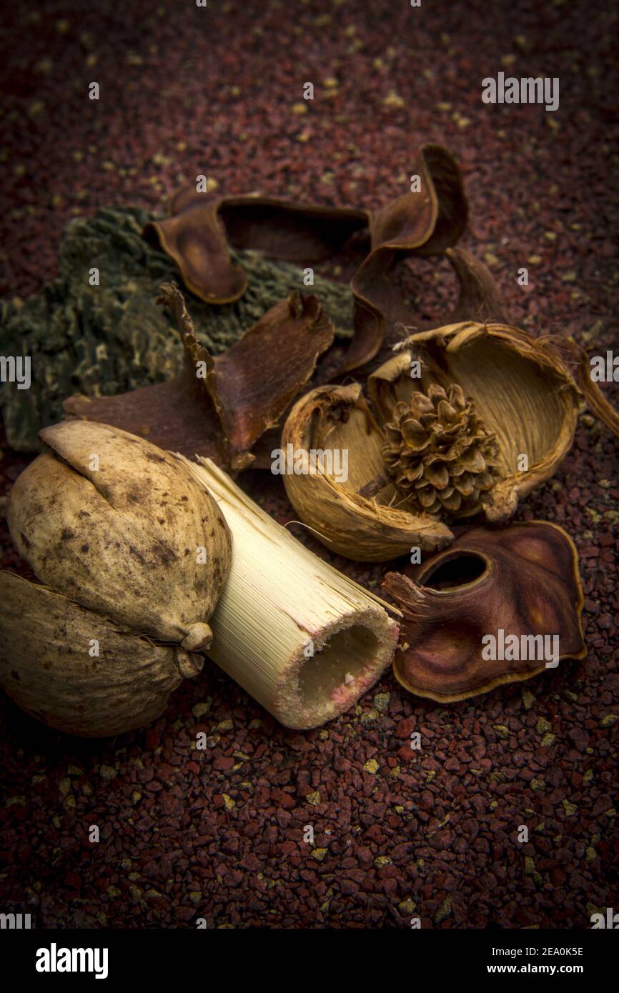 Vertical shot of a dried plant Potpourri, naturally fragrant plant ...