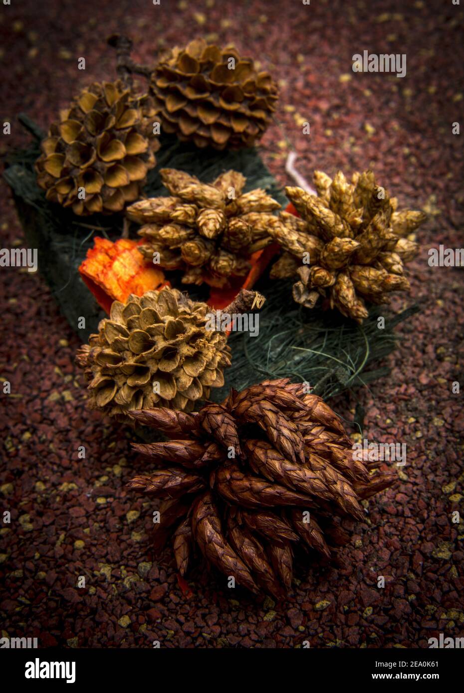 Vertical shot of a dried plant Potpourri, naturally fragrant plant ...