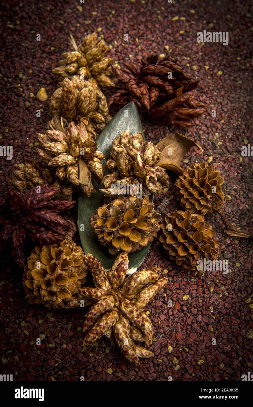 Vertical shot of a dried plant Potpourri, naturally fragrant plant ...