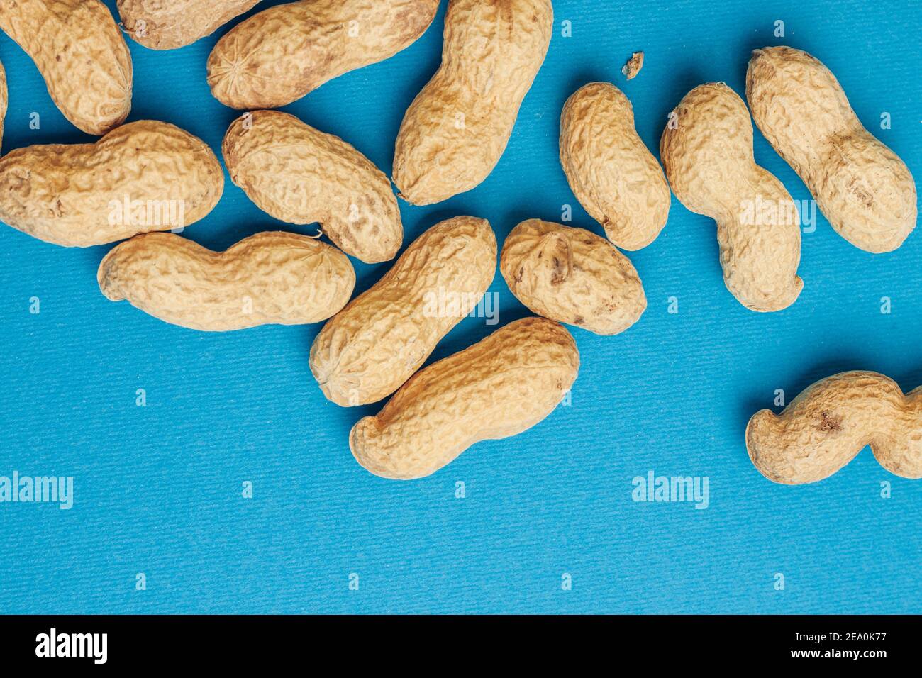 peanuts in shell blue background close-up top view Stock Photo - Alamy