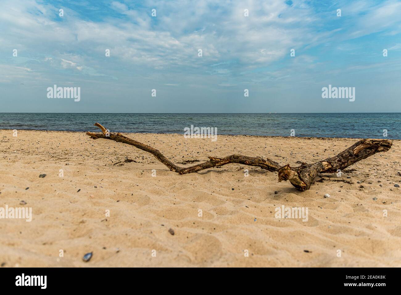 Beautiful shore with soft sand and a dry tree branch in the foreground ...
