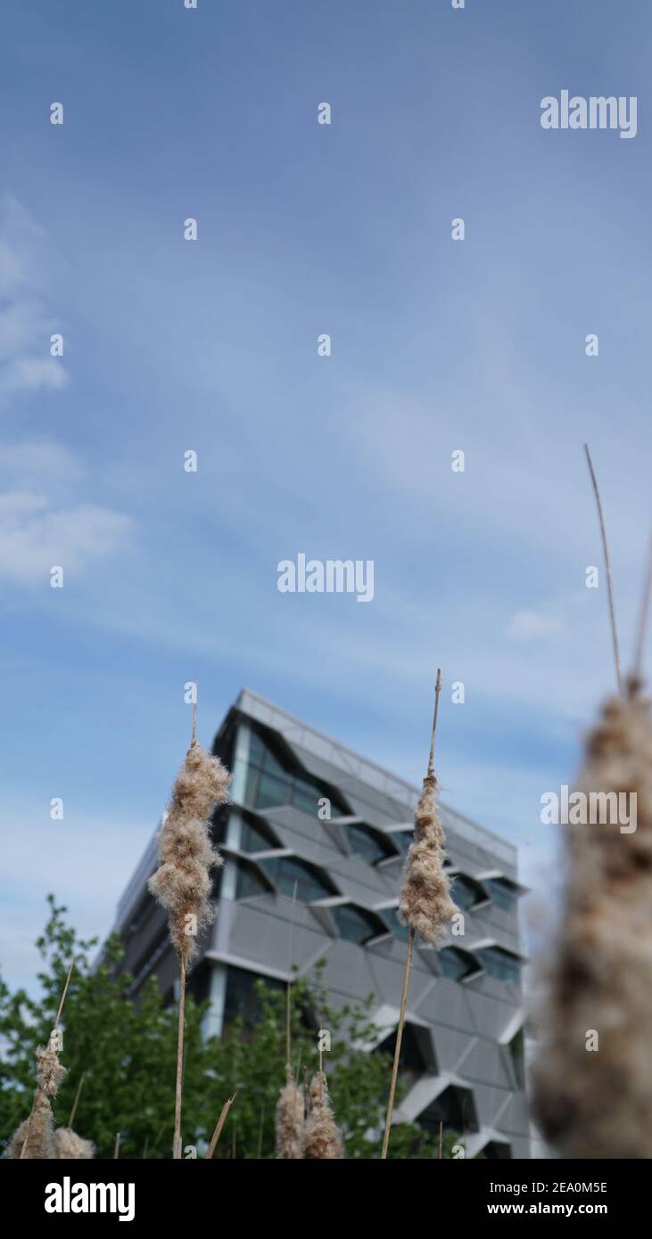 Engineering and Computing Building, Coventry UK Stock Photo - Alamy