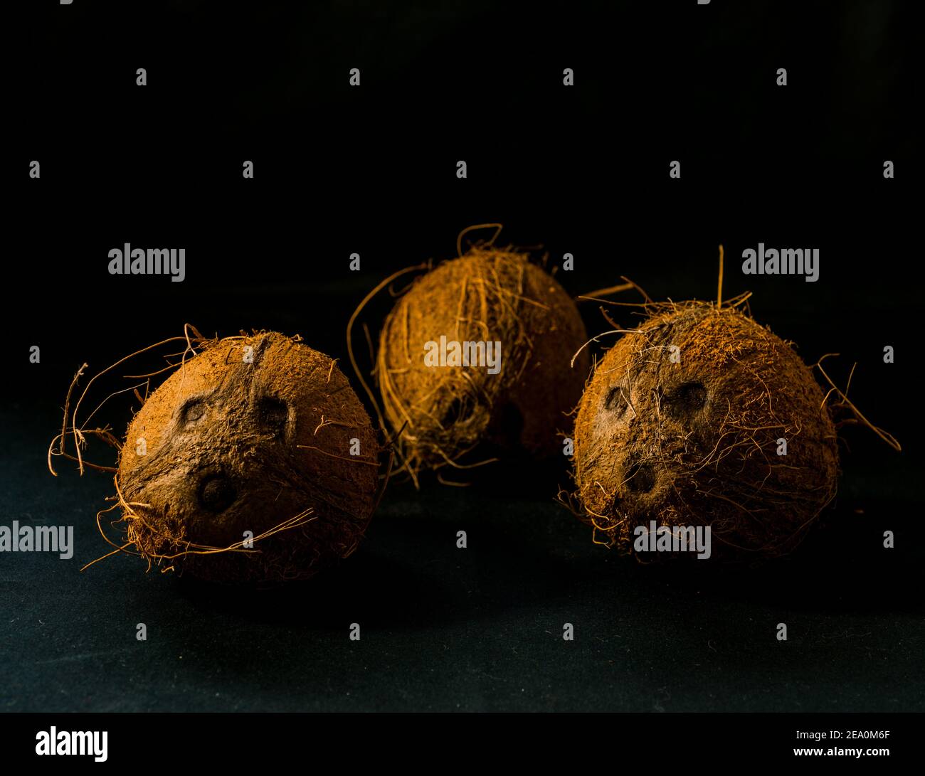 Coconut coconuts open and close delicious in burlap Stock Photo - Alamy