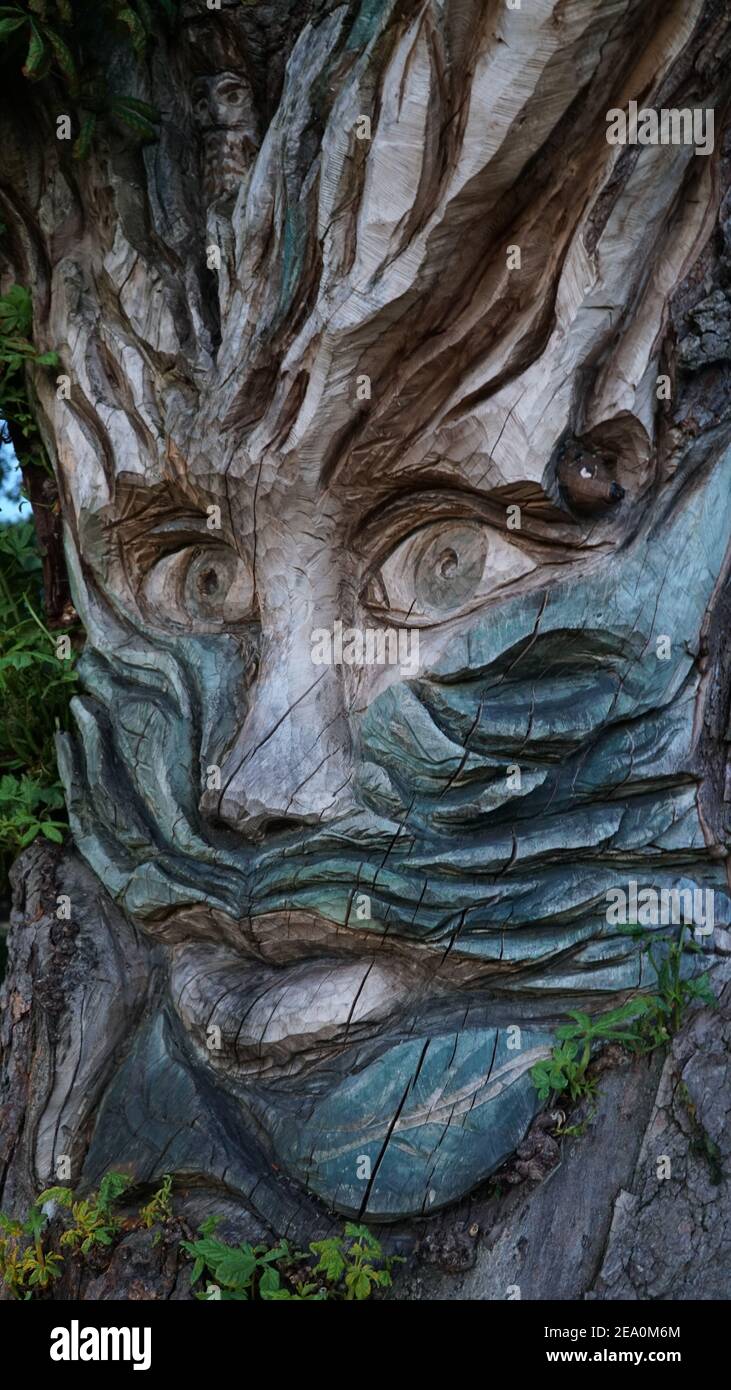 Face in tree sculpture hi-res stock photography and images - Alamy