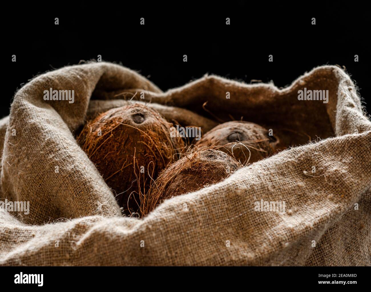 Coconut tree wood hi-res stock photography and images - Alamy