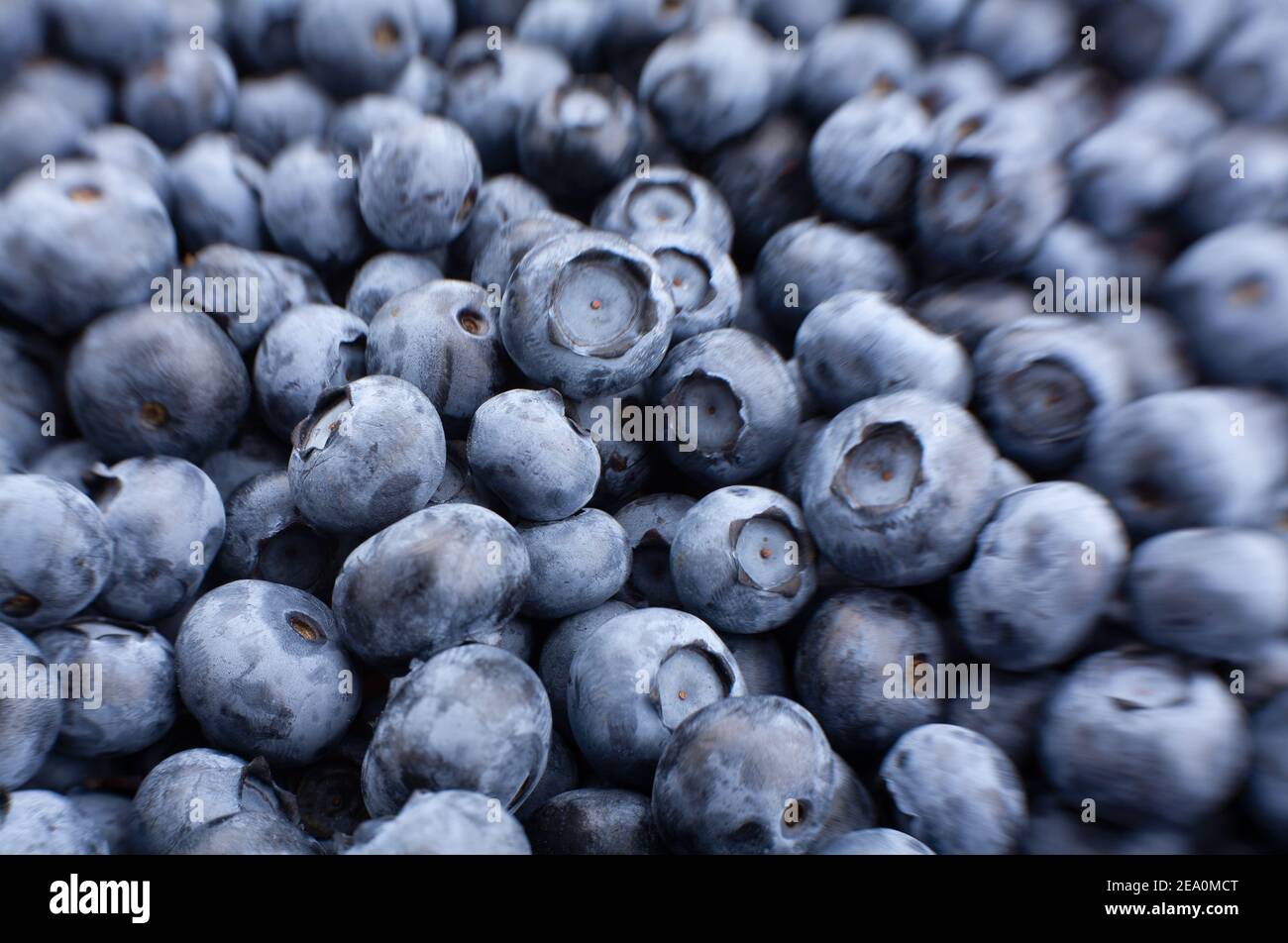 blueberry group macro detail closeup Stock Photo - Alamy