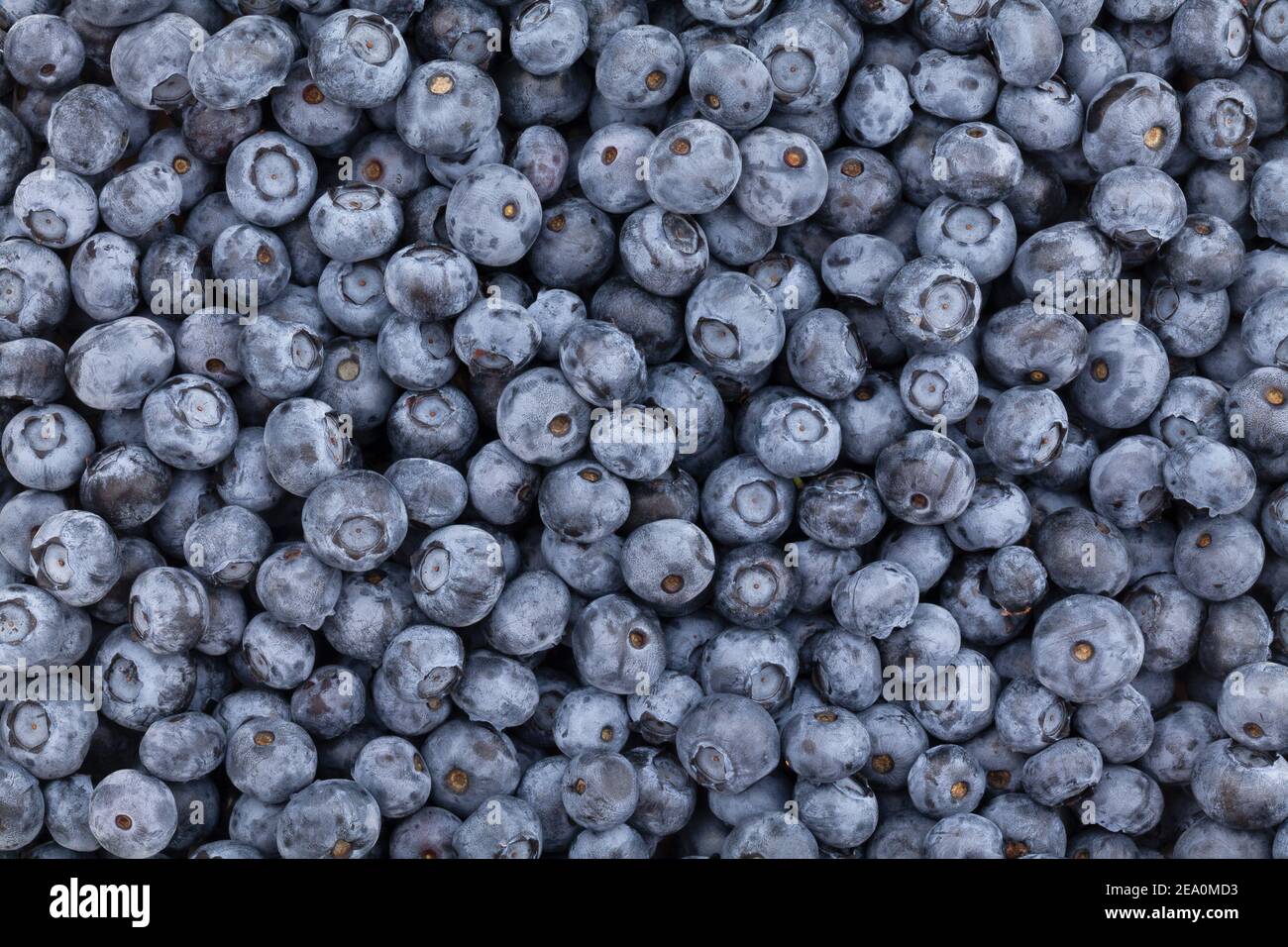 Berries texture hi-res stock photography and images - Alamy