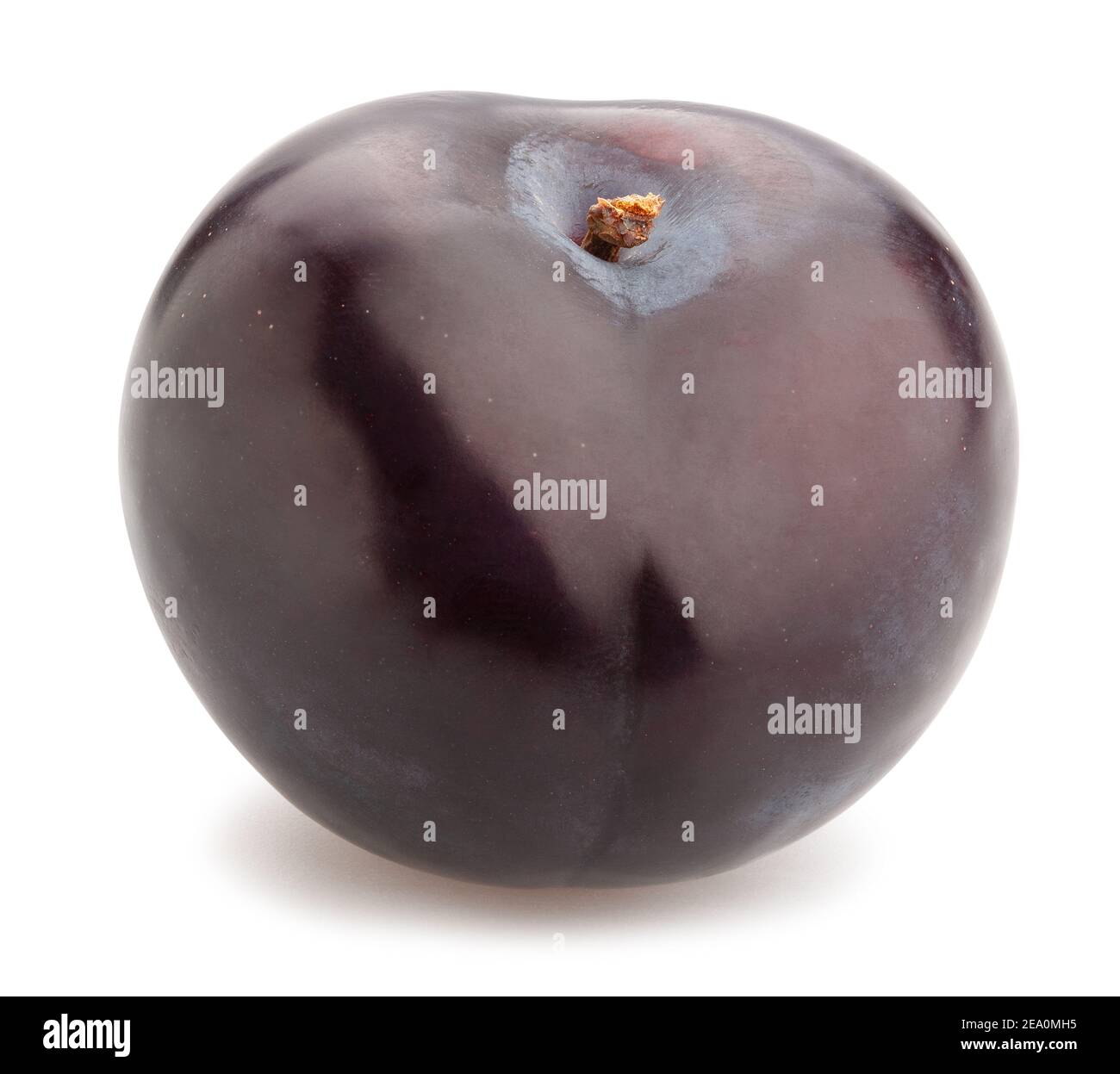 deep red burgundy plum path isolated on white Stock Photo - Alamy