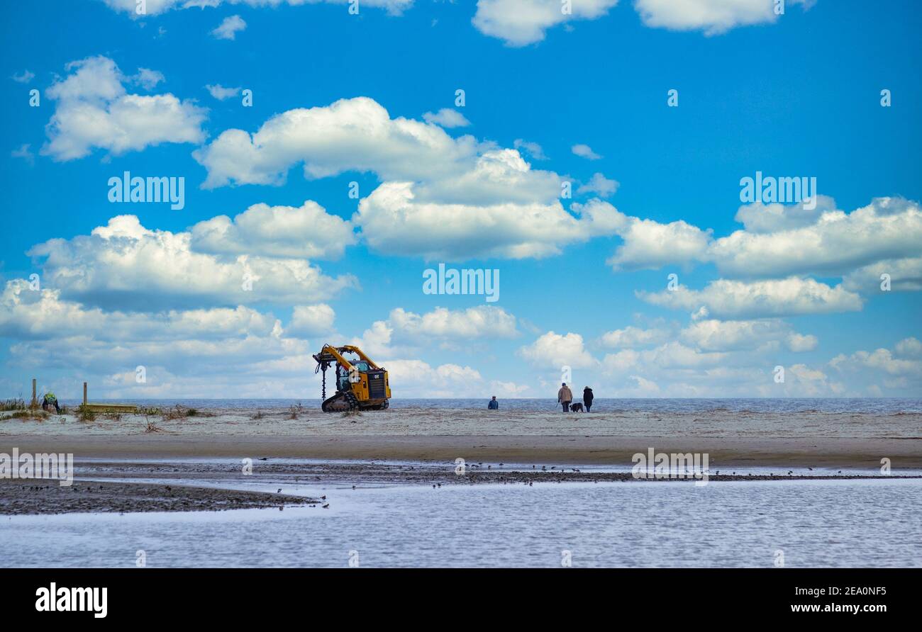 Bobcat Working on Beach Stock Photo - Alamy