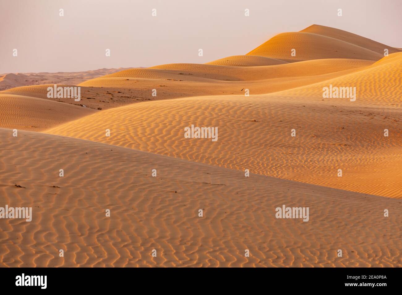 Middle East, Arabian Peninsula, Oman, Ash Sharqiyah North, Bidiya. Sand ...