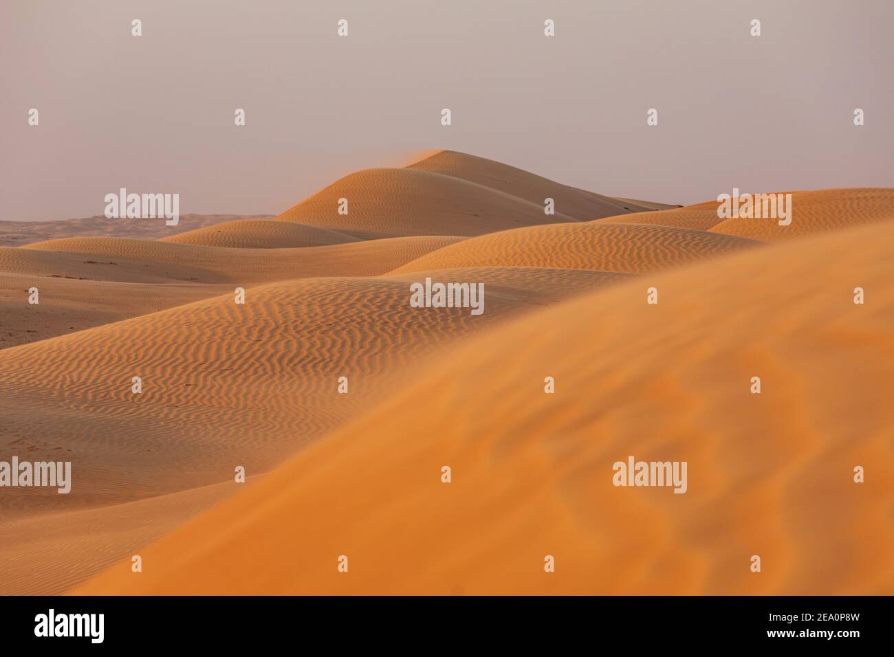 People sand dunes arabian peninsula hi-res stock photography and images ...
