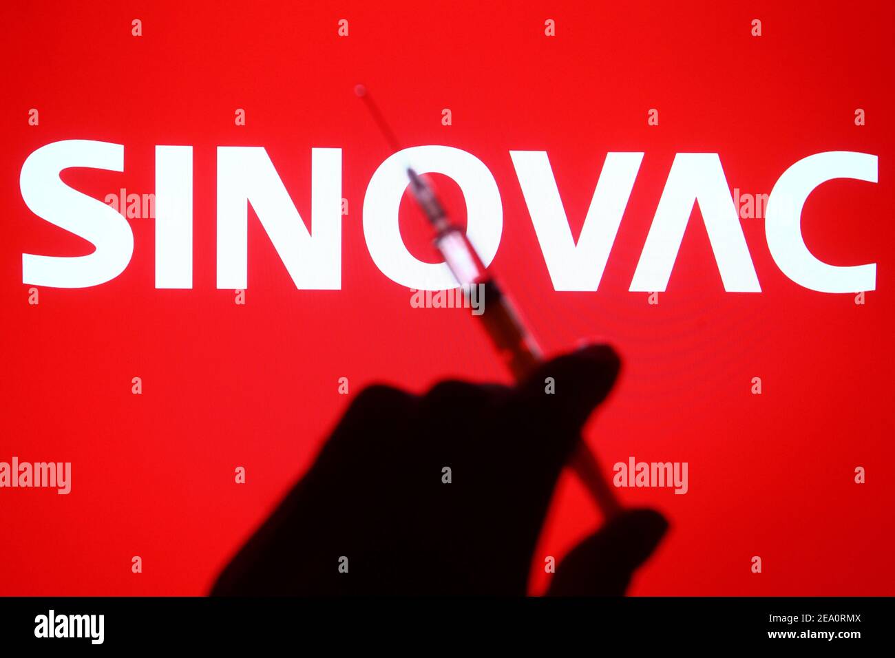 In this photo illustration a Sinovac Biotech Chinese biopharmaceutical ...