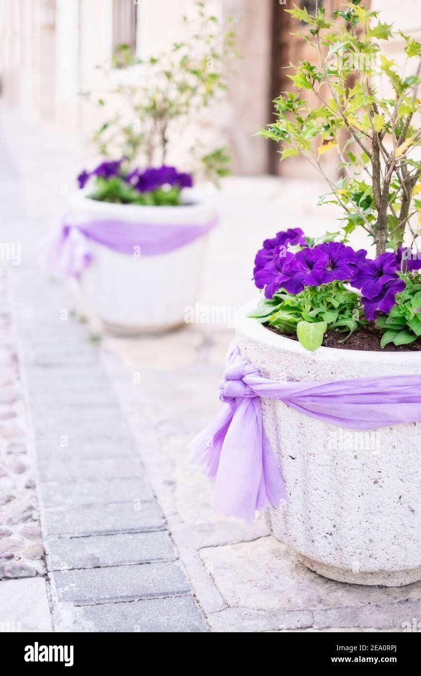 a white flowerpot in the street decorated with a mauve ribbon with ...