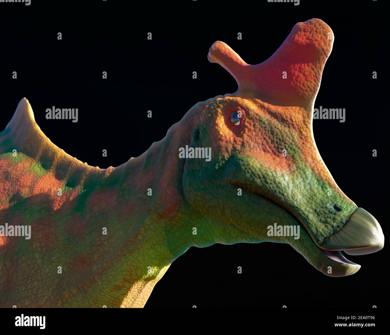 Head of the dinosaur Lambeosaurus Stock Photo - Alamy