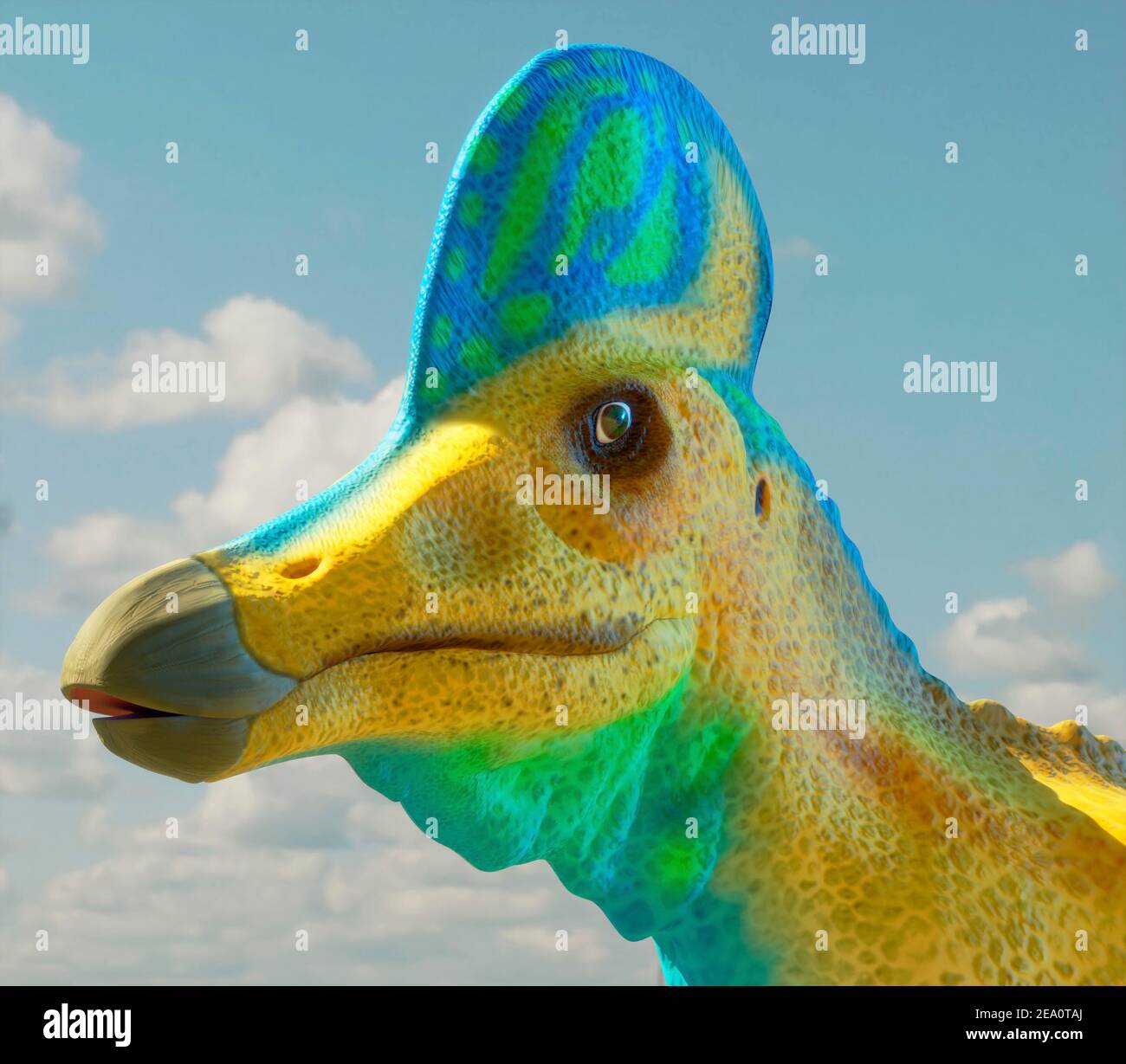 Hadrosauridae hi-res stock photography and images - Alamy