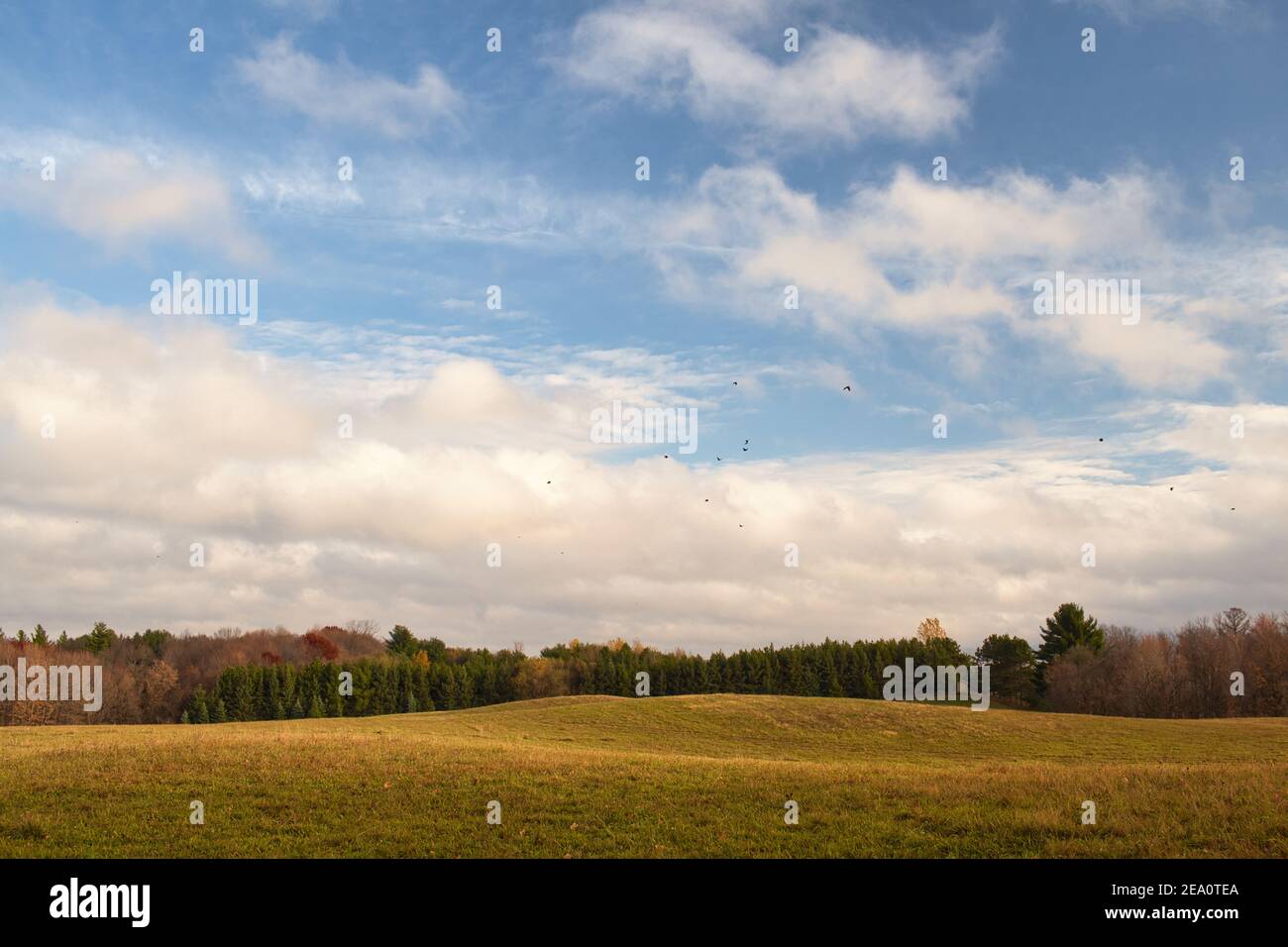 Landscape and birds hi-res stock photography and images - Alamy