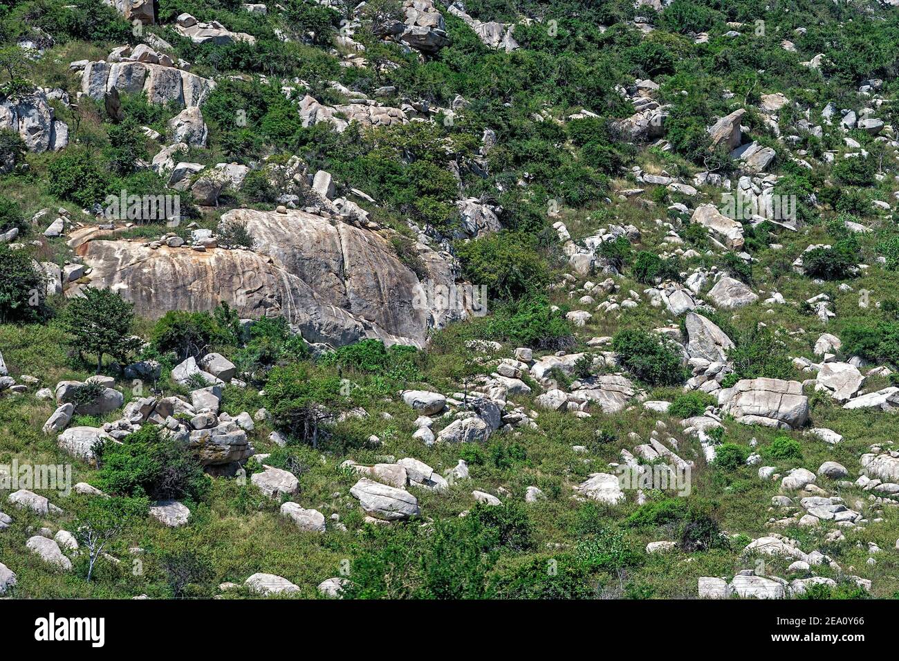 Side of a mountain with a stone rock of various sizes scattered among ...