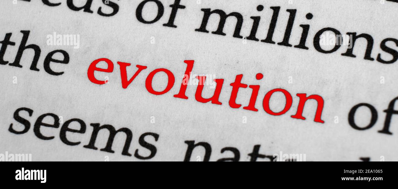 Selective focus on the red word evolution. Macro shot printed red ...