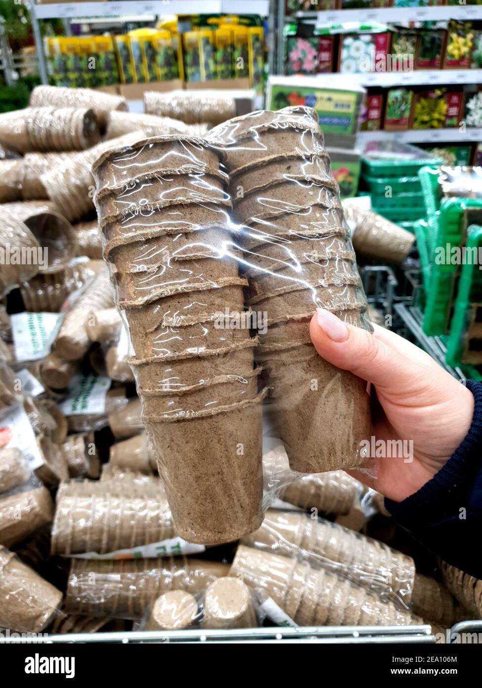 a woman chooses peat cups for seeds and seedlings Stock Photo - Alamy