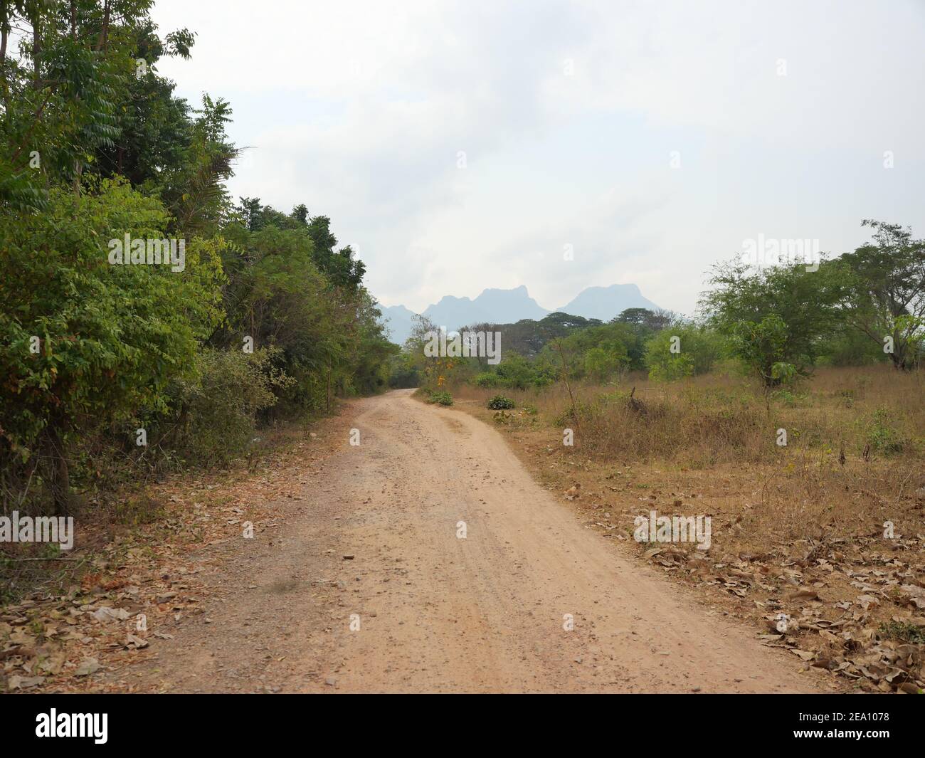 Open dirt road in green forest with mountain with blue sky and white ...