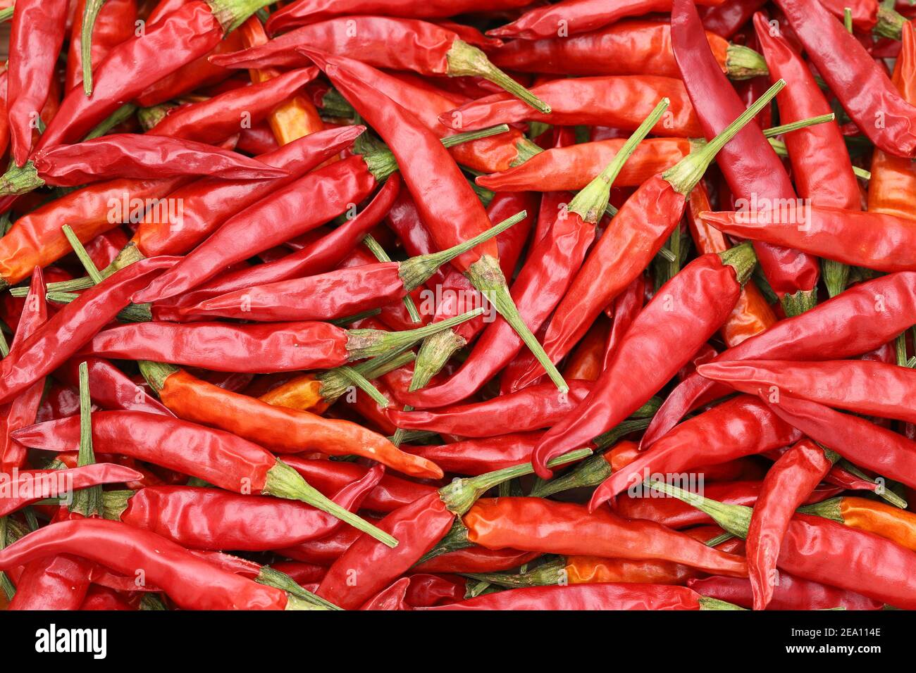 Dried red chili pepper plants, texture background Stock Photo - Alamy