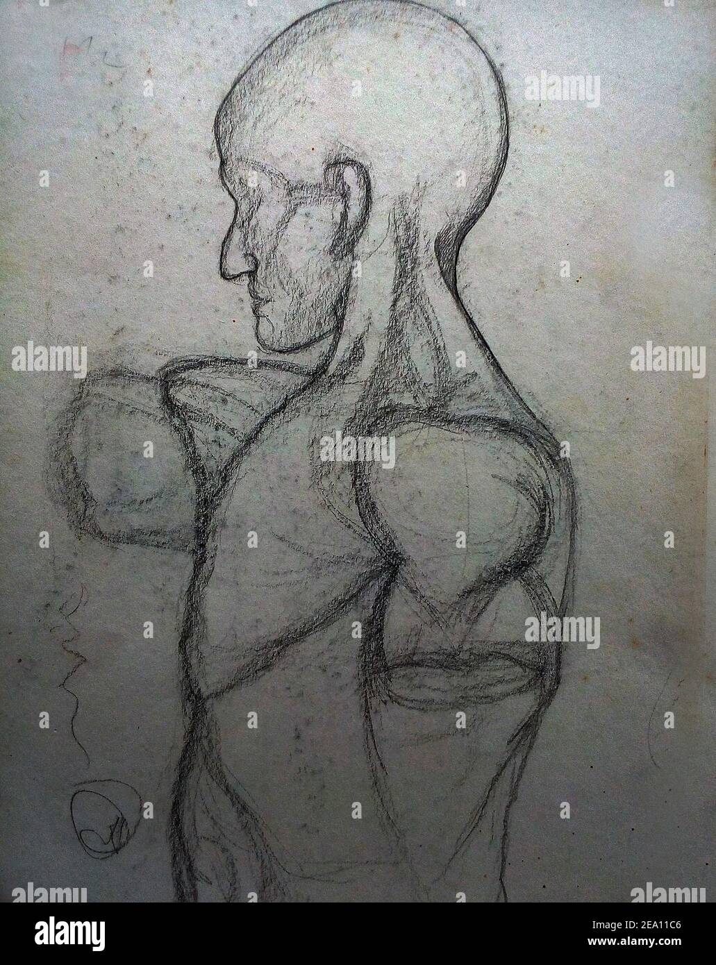 Art ,drawing ,Fine art ,Light and shadow, bust Stock Photo - Alamy