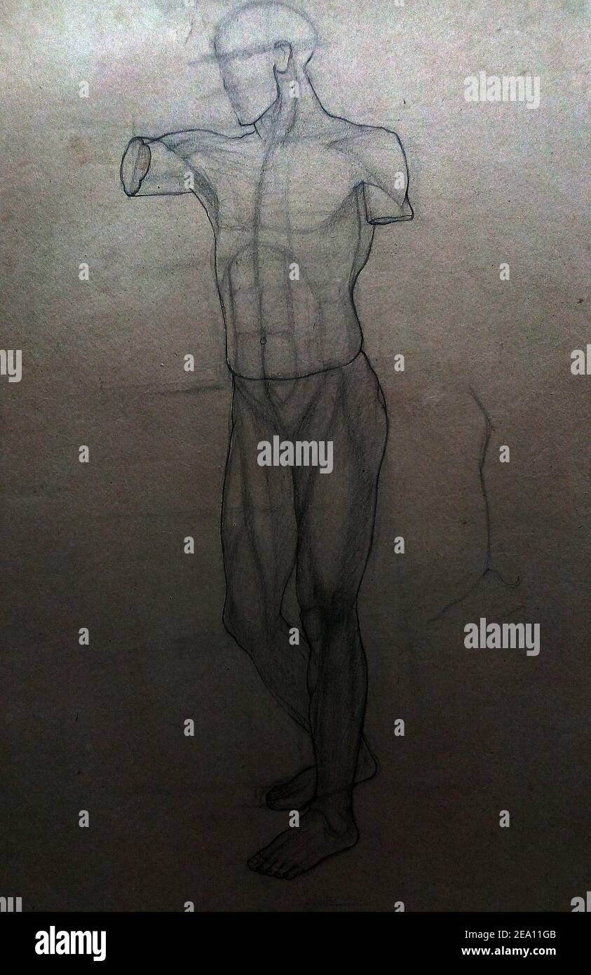 anatomy , Art ,drawing ,Fine art ,Light and shadow, bust Stock Photo ...