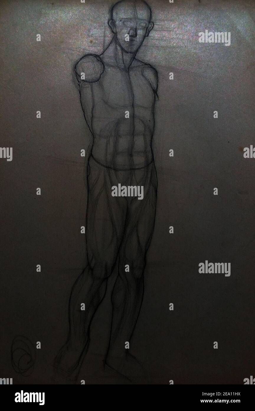 anatomy , Art ,drawing ,Fine art ,Light and shadow, bust Stock Photo ...