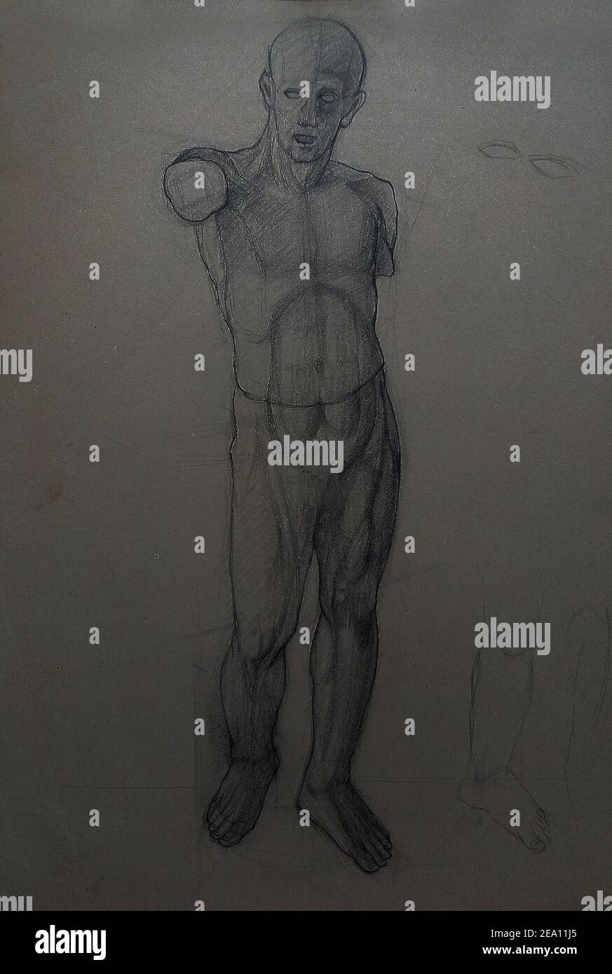 Art , anatomy drawing ,Fine art ,Light and shadow, bust Stock Photo - Alamy
