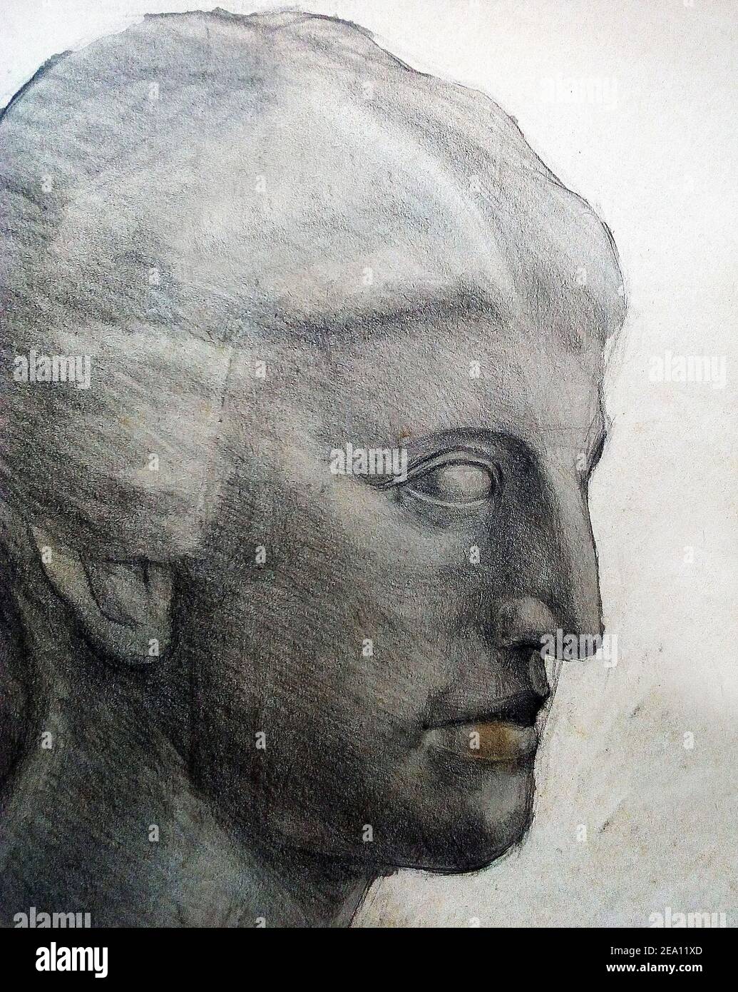 Art ,drawing ,Fine art ,Light and shadow, bust Stock Photo - Alamy