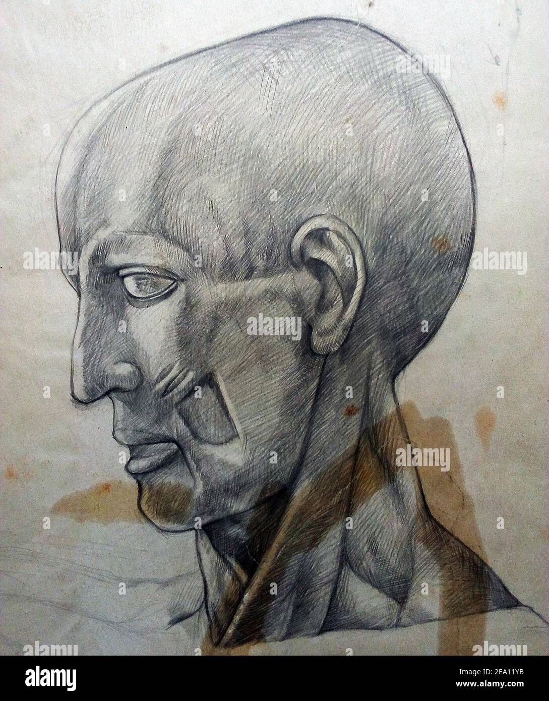 Art ,drawing ,Fine art ,Light and shadow, bust Stock Photo - Alamy